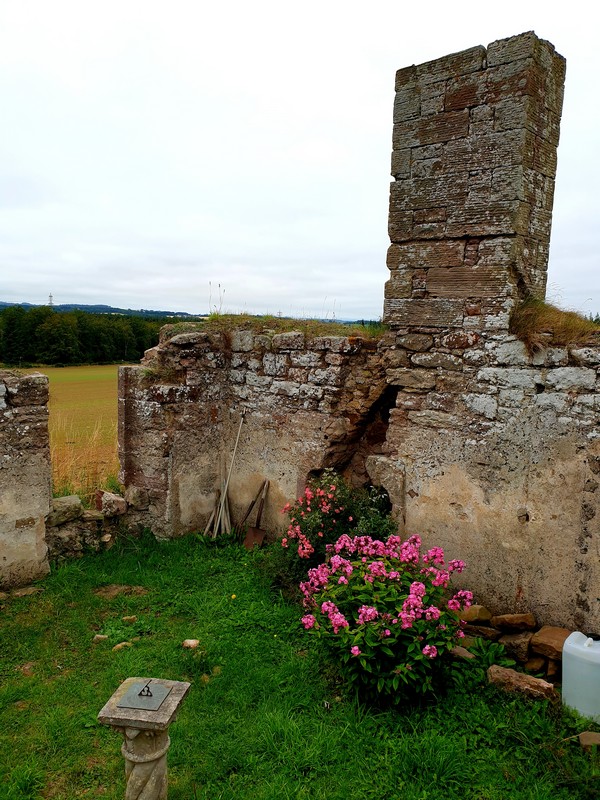 A gentle woodland walk in East Saltoun – Just Frances