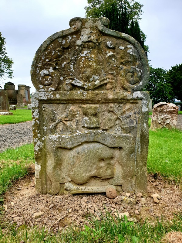 A gentle woodland walk in East Saltoun – Just Frances