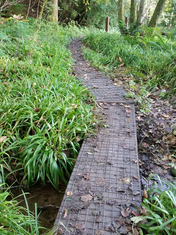 Weir walking – Just Frances