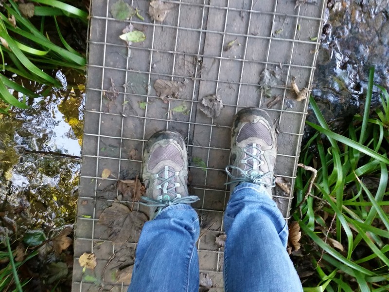 Weir walking – Just Frances