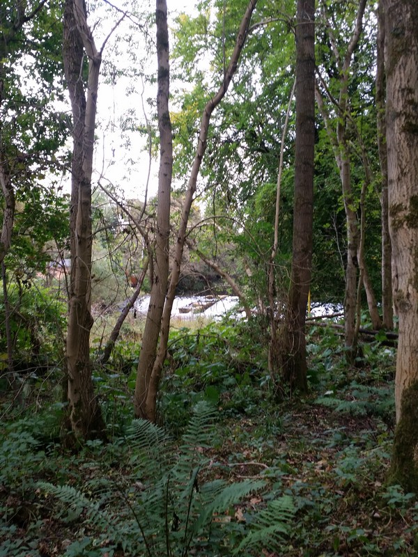 Weir walking – Just Frances