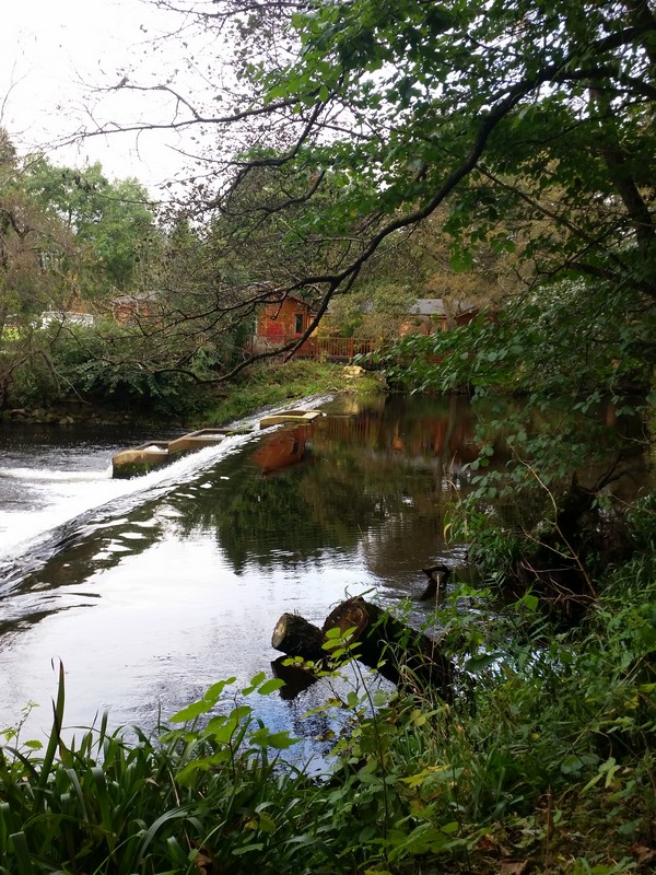 Weir walking – Just Frances