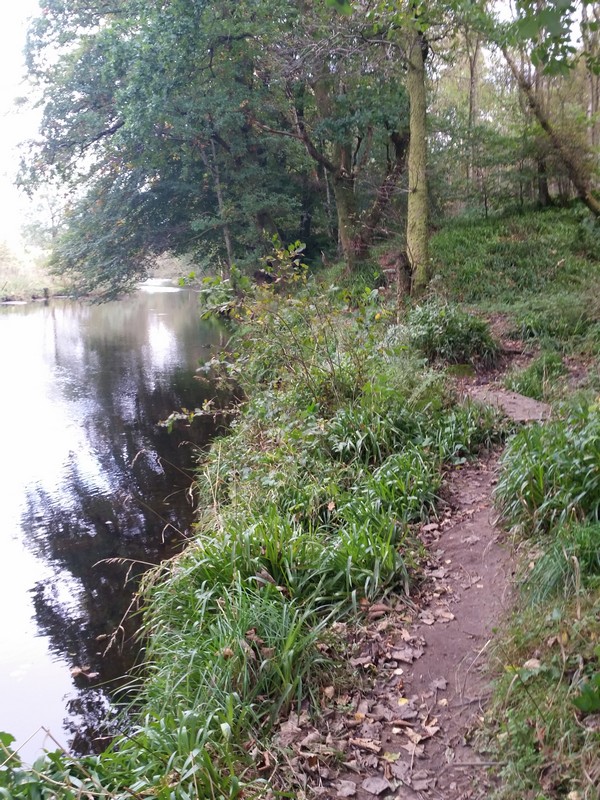 Weir walking – Just Frances