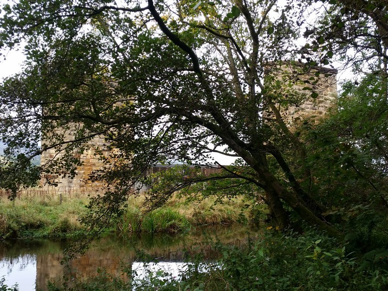 Weir walking – Just Frances