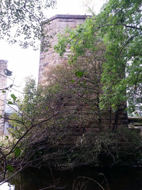 Weir walking – Just Frances