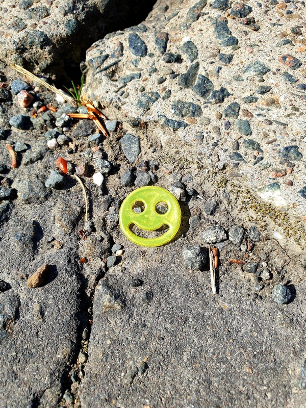 Random May (2020) – Just Frances