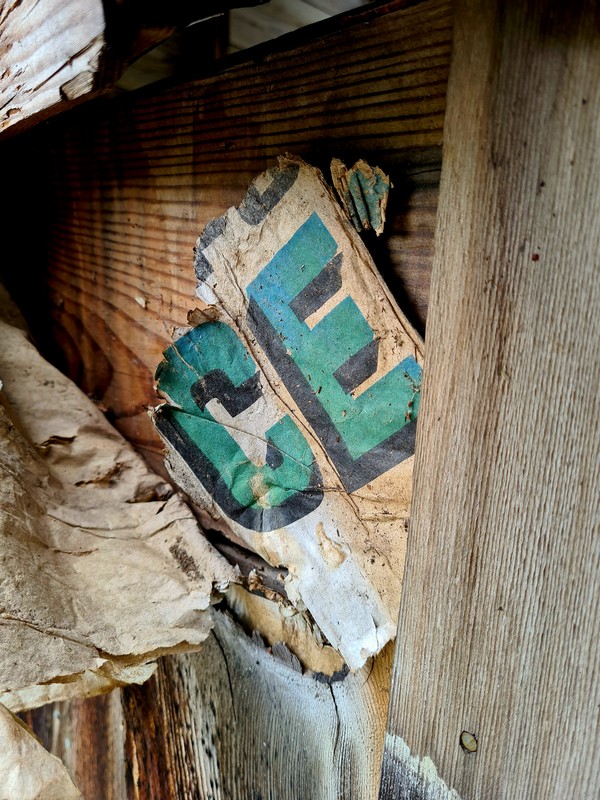 Random May (2022) – Just Frances