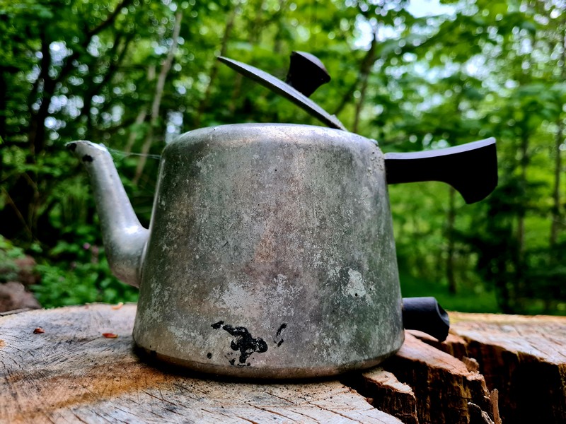 Random May (2023) - Just Frances