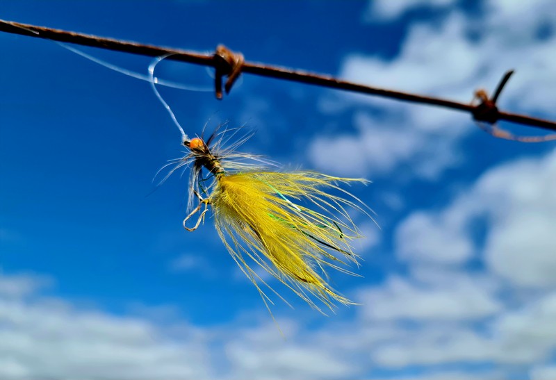 Random May (2023) - Just Frances